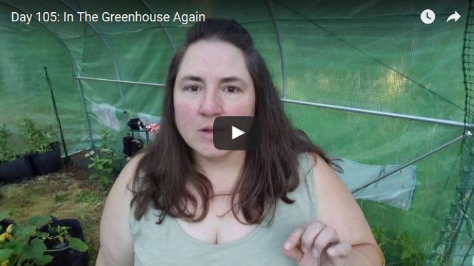 Day 105: In The Greenhouse Again - Marlo Fullerton - Marlo Gets Fit