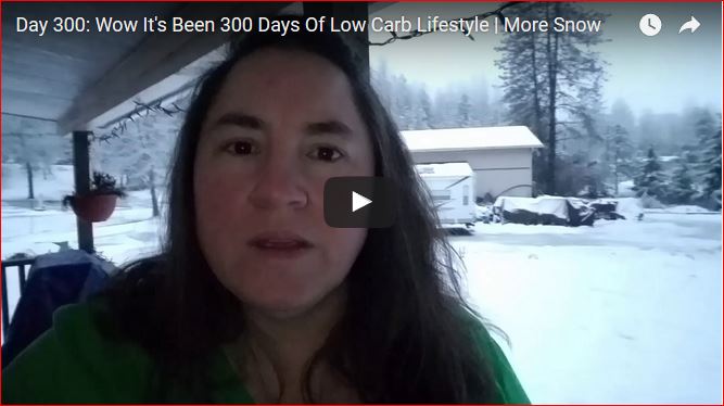 Day 300: Wow It's Been 300 Days Of Low Carb Lifestyle | More Snow ...