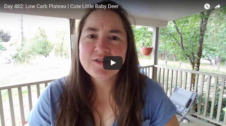 Day 482: Low Carb Plateau | Cute Little Baby Deer - Marlo Fullerton ...